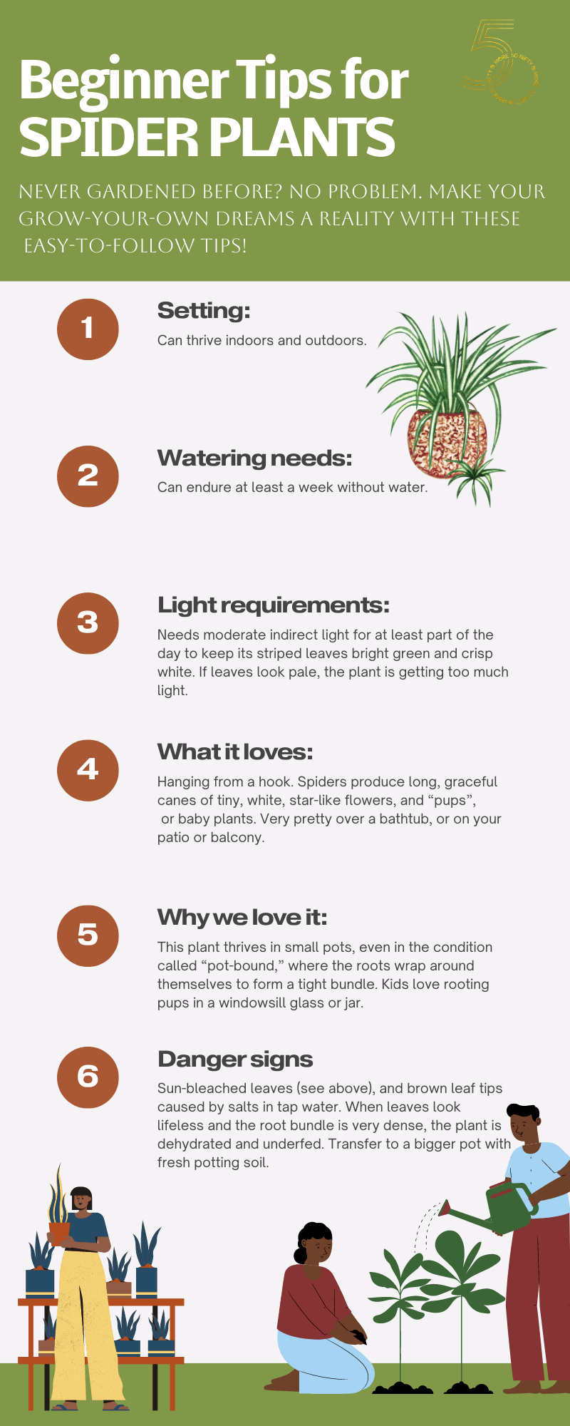 A Beginner’s Guide to Gardening | Fifty Nifty and More